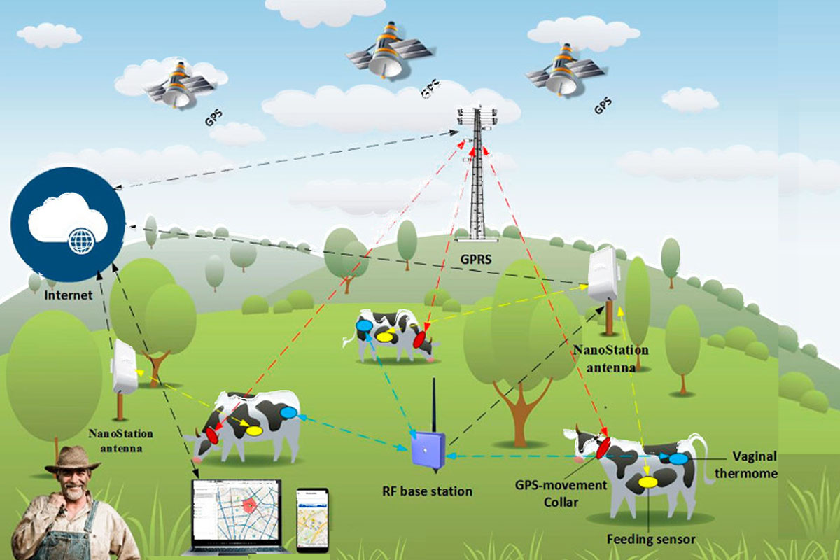 How Internet of Things is Transforming The Agriculture Sector