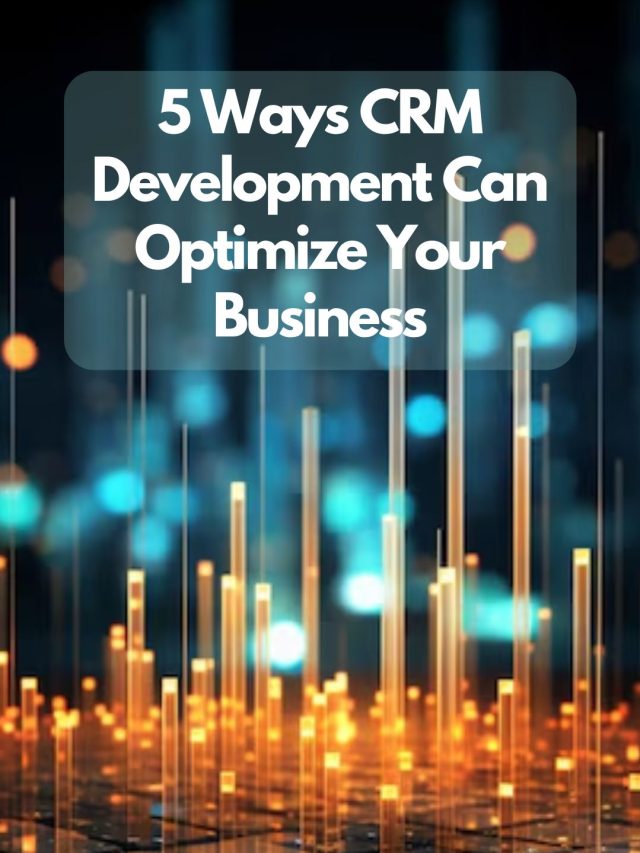 5 Ways CRM Development Can Optimize Your Business - HashStudioz ...